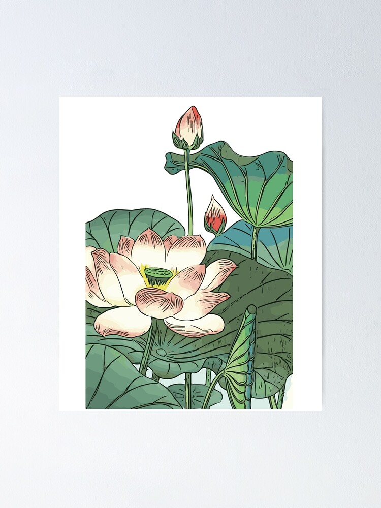 "Japanese Water Lily, Japanese Water Lilies, Flower Art" Poster for ...