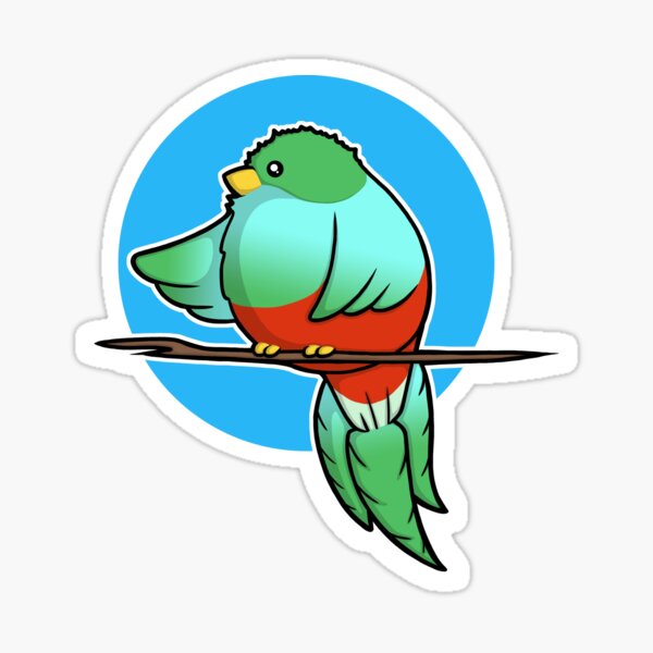 "Cute Resplendent Quetzal" Sticker by perdita00 | Redbubble