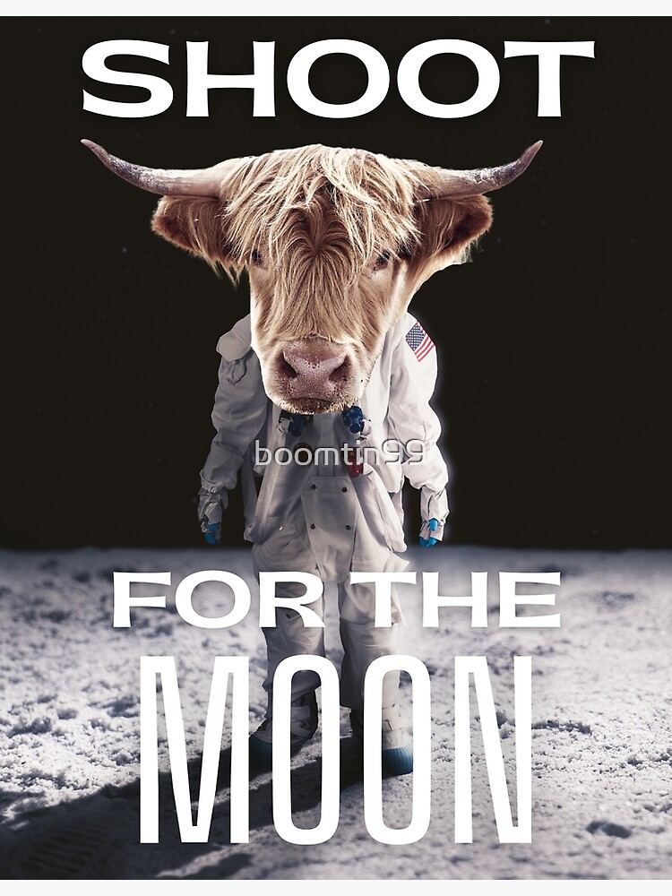 "Shoot for the Moon" Poster by boomtin99 | Redbubble