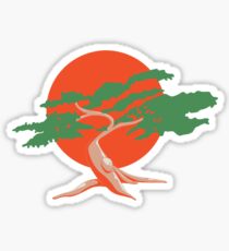 Karate Kid: Stickers | Redbubble