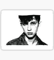 Troye Sivan: Stickers | Redbubble