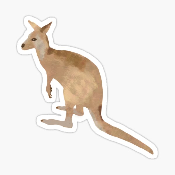 "Australian Kangaroo | kangaroos | Kangaroo Lover | Australia" Sticker ...