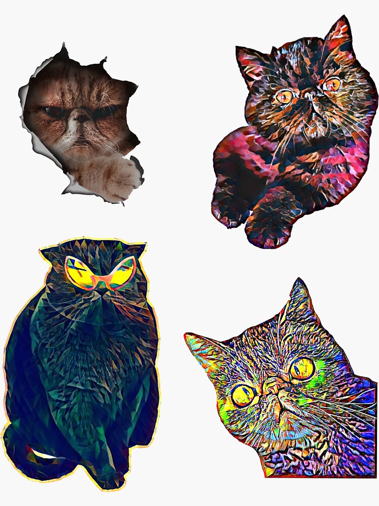 "Exotic Shorthair Cat Stickers For Vinyl Stickers, Cat Sticker, Laptop ...