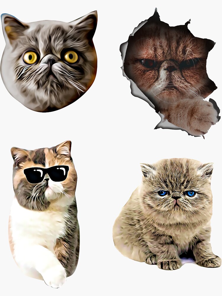 "Exotic Shorthair Cat Stickers For Vinyl Stickers, Cat Sticker, Laptop ...