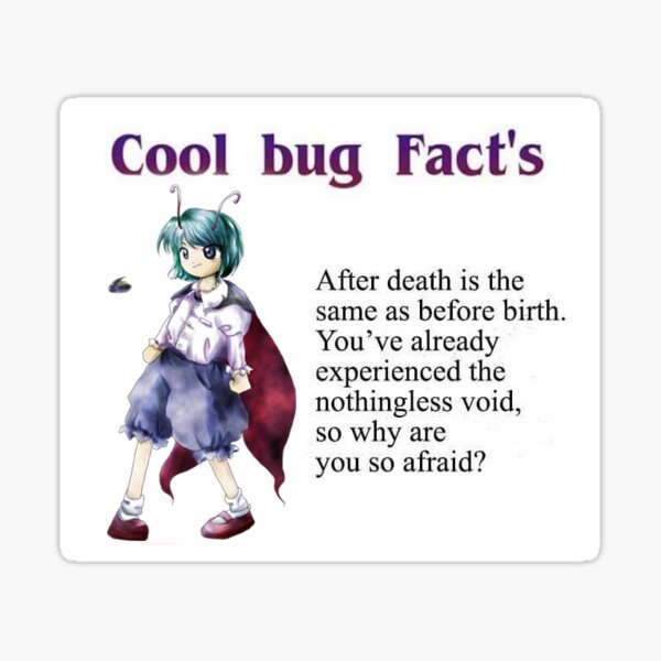 "Cool bug Facts" Sticker for Sale by milkymintshoppe | Redbubble