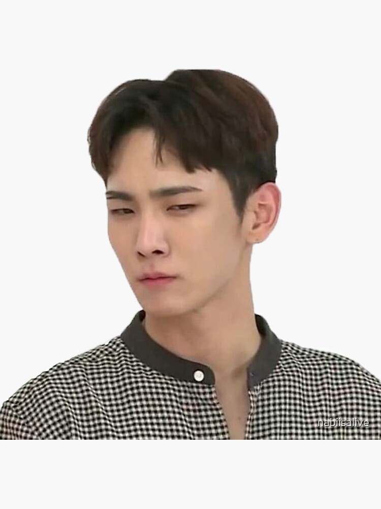 "Shinee Key Meme" Sticker by nabiisalive | Redbubble