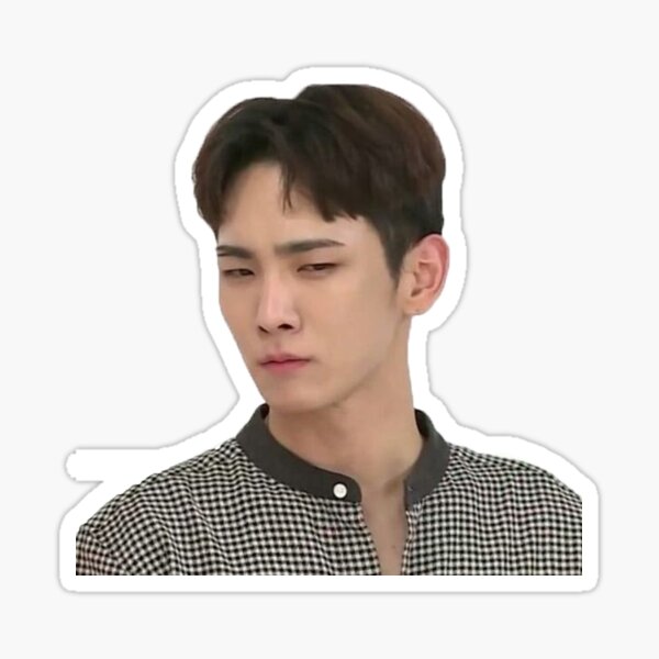 "Shinee Key Meme" Sticker by nabiisalive | Redbubble