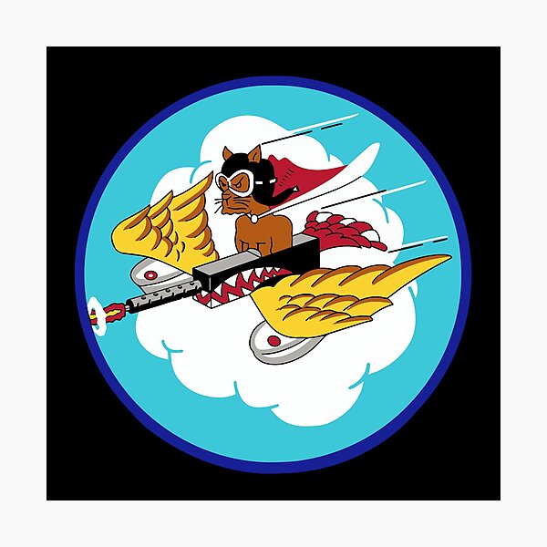 "US Air Force 301st Fighter Squadron (Tuskegee Airmen) Emblem ...