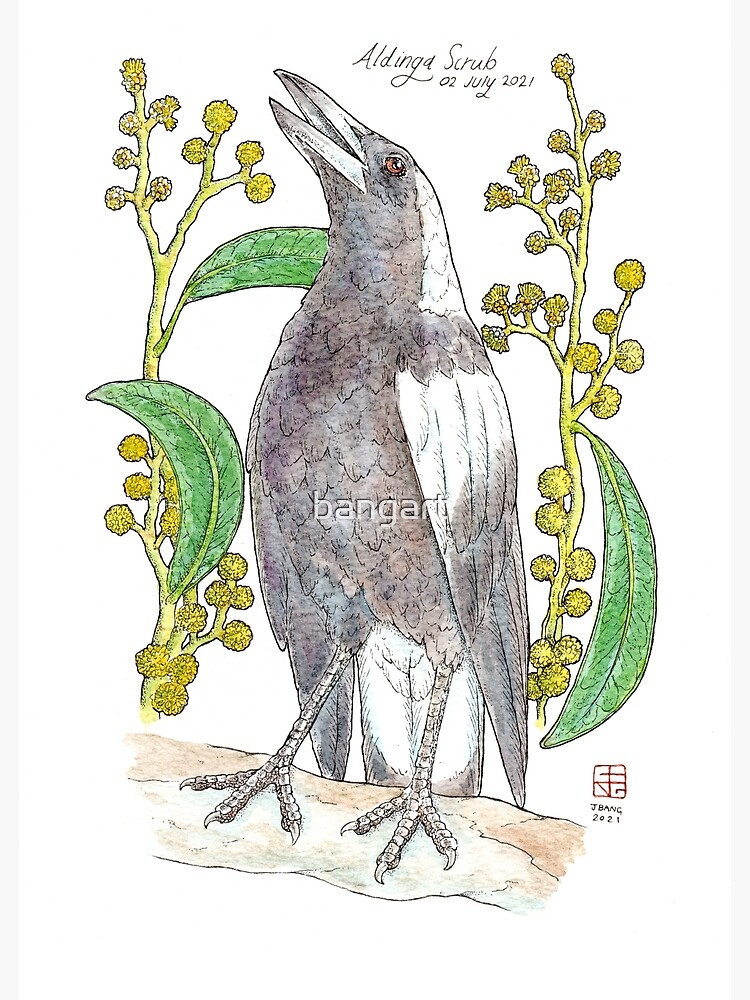 "Aldinga Scrub Conservation Park 02 July Bioscape" Poster by bangart ...