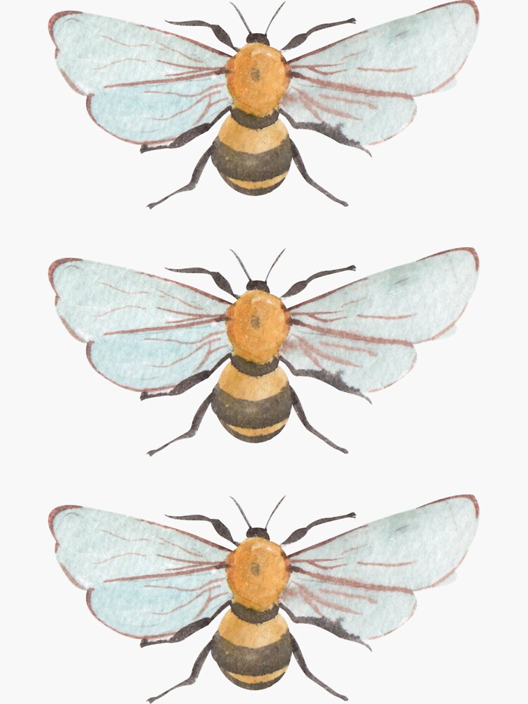 "Aesthetic bee" Sticker for Sale by Hoetoons | Redbubble
