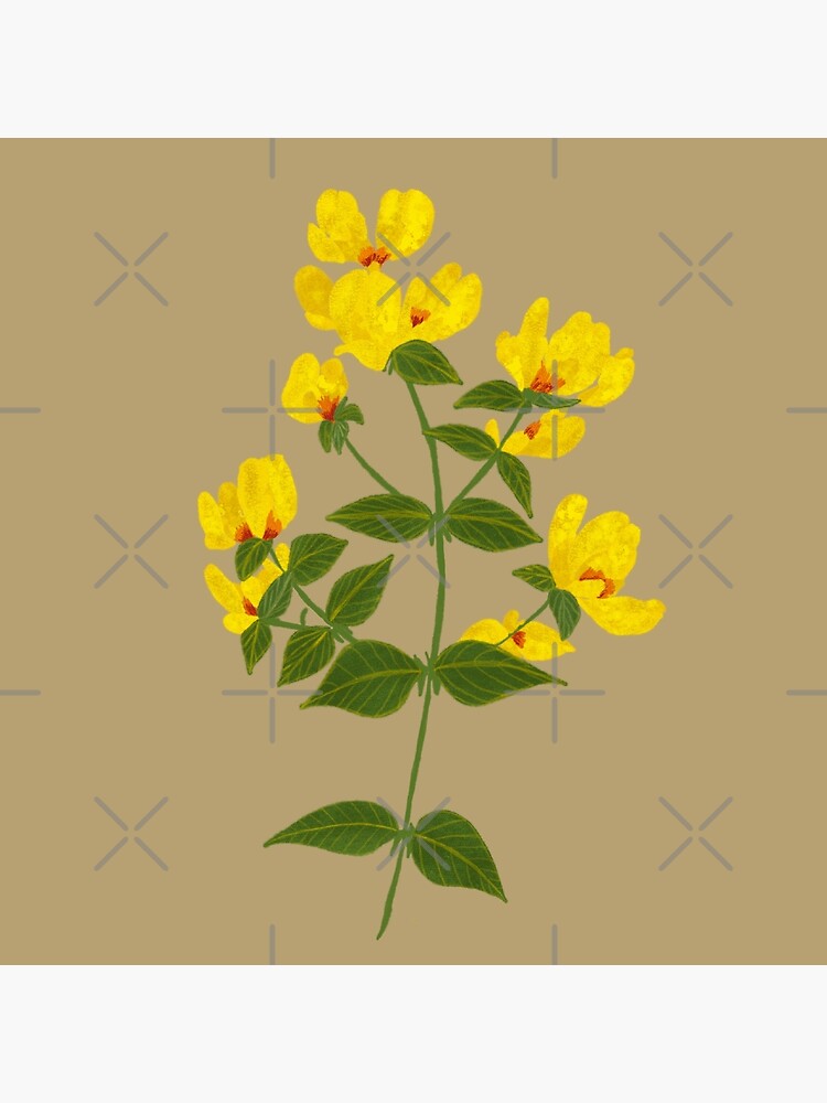 "Common Flat Pea Australian Wildflowers " Poster for Sale by ...