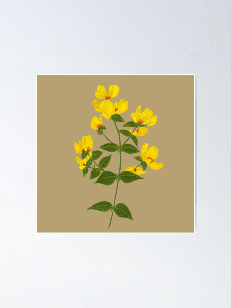 "Common Flat Pea Australian Wildflowers " Poster for Sale by ...