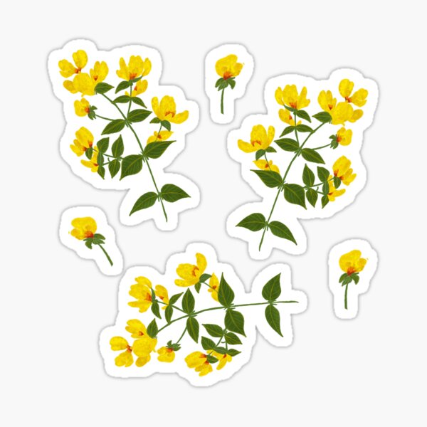 "Common Flat Pea Australian Wildflowers " Sticker for Sale by ...