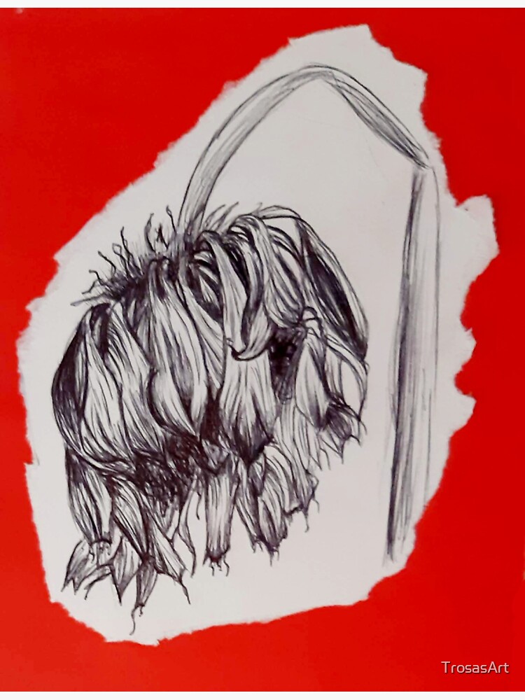 "Flower drawing in biro on bright red background " Sticker for Sale by ...