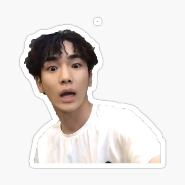 "Shinee Key Shocked Meme" Sticker by nabiisalive | Redbubble