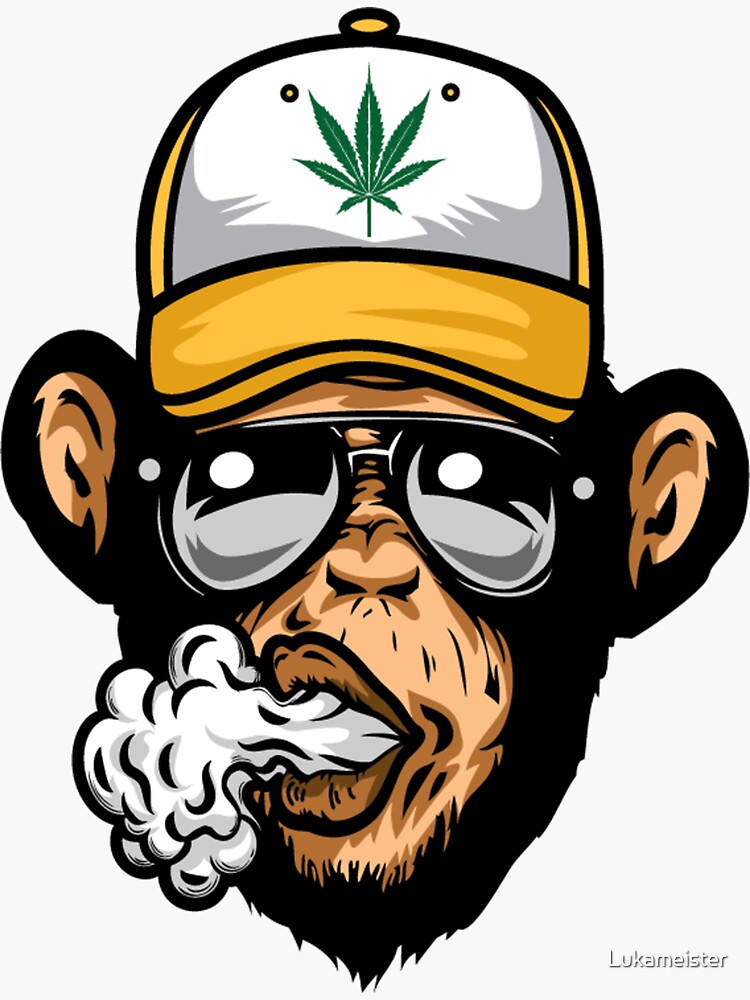 "monkey sticker helmet" Sticker for Sale by Lukameister | Redbubble
