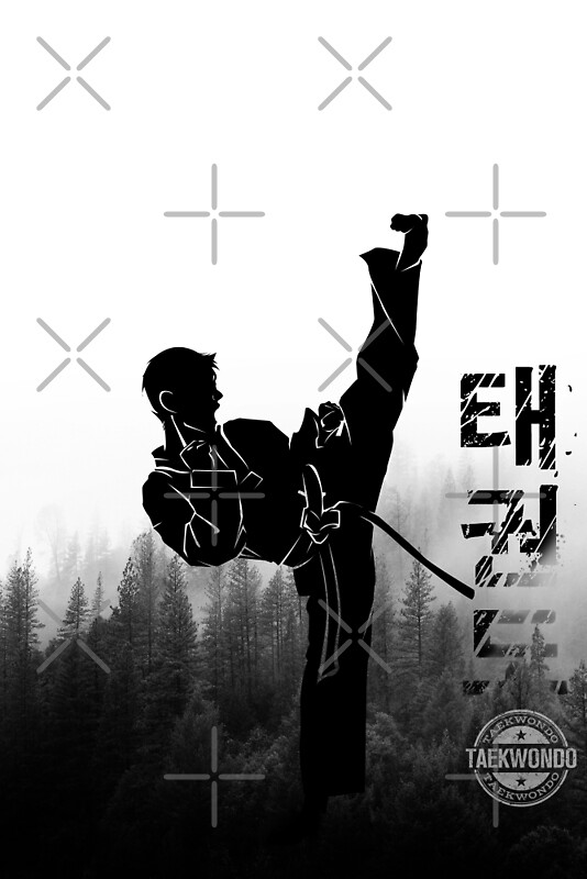 Taekwondo: Posters | Redbubble