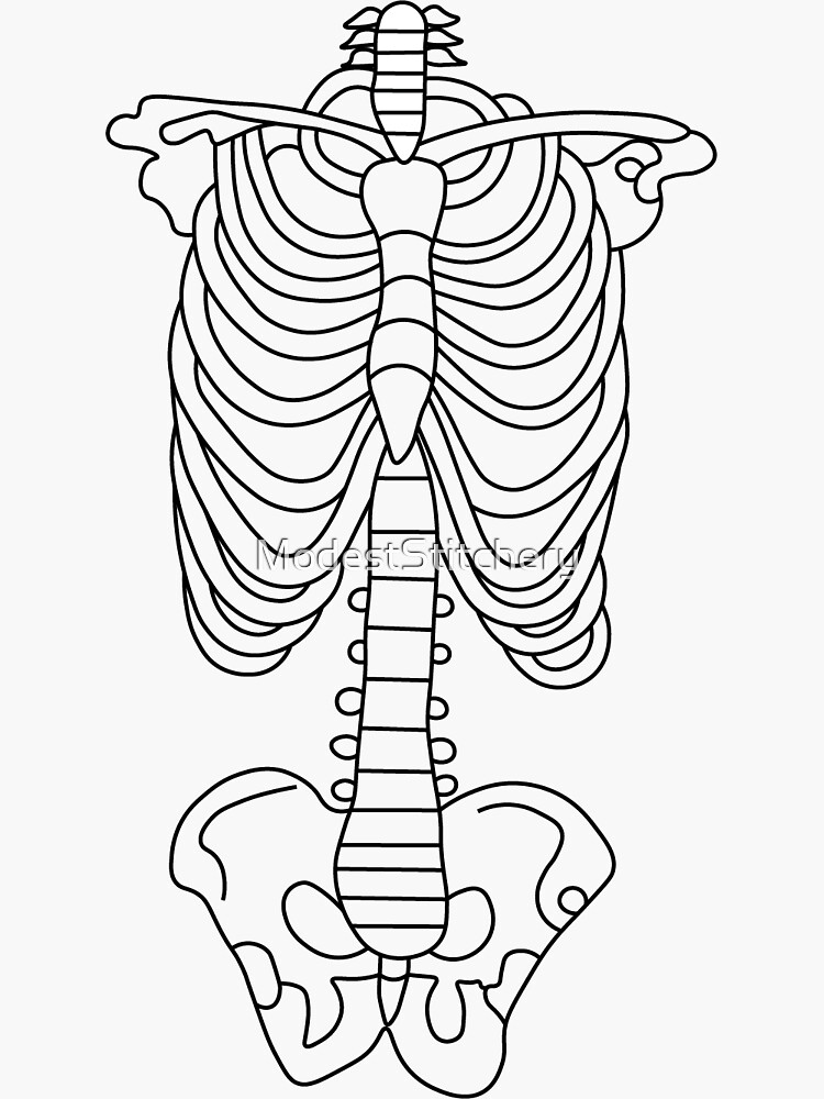 "Half Skeleton Body Sticker" Sticker for Sale by ModestStitchery ...