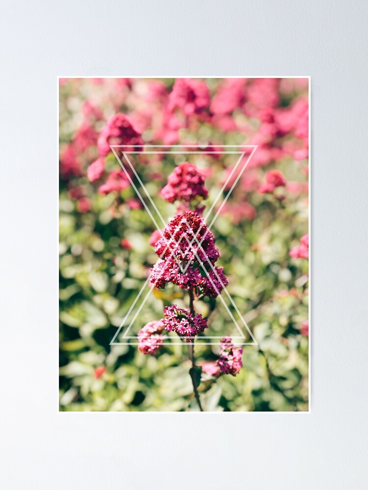 "Pink flowers triangles" Poster by FigureAndFold | Redbubble