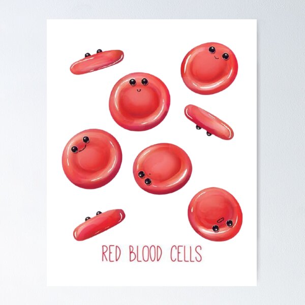 "red blood cells" Poster for Sale by Kristina-sw | Redbubble