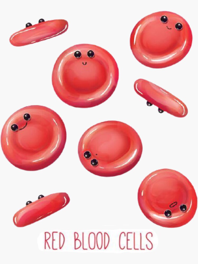 "red blood cells" Sticker for Sale by Kristina-sw | Redbubble