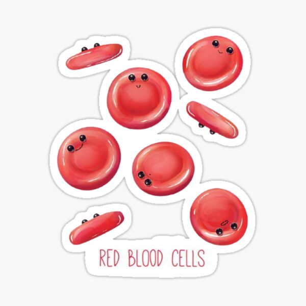 "red blood cells" Sticker for Sale by Kristina-sw | Redbubble