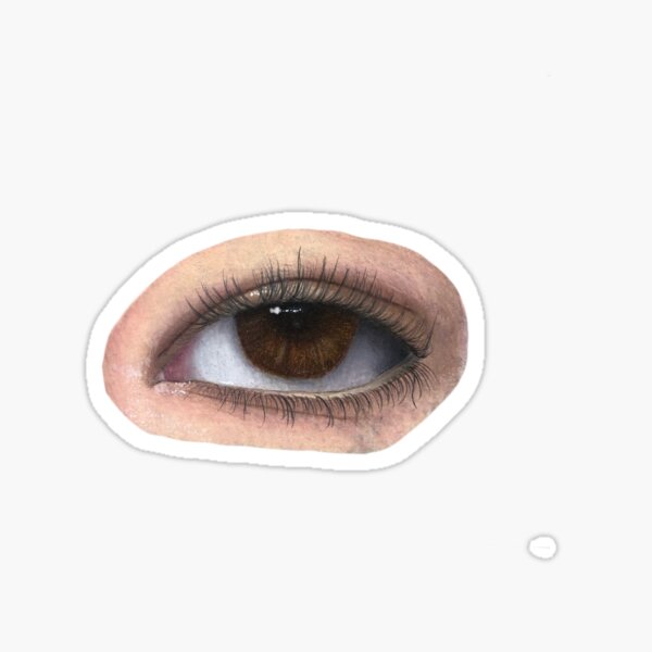"Brown Eye Drawing" Sticker for Sale by Clairissa-H | Redbubble