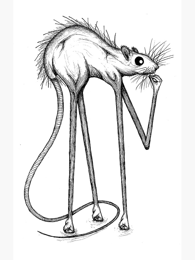 "Funky Rat" Poster by Ideabenw | Redbubble