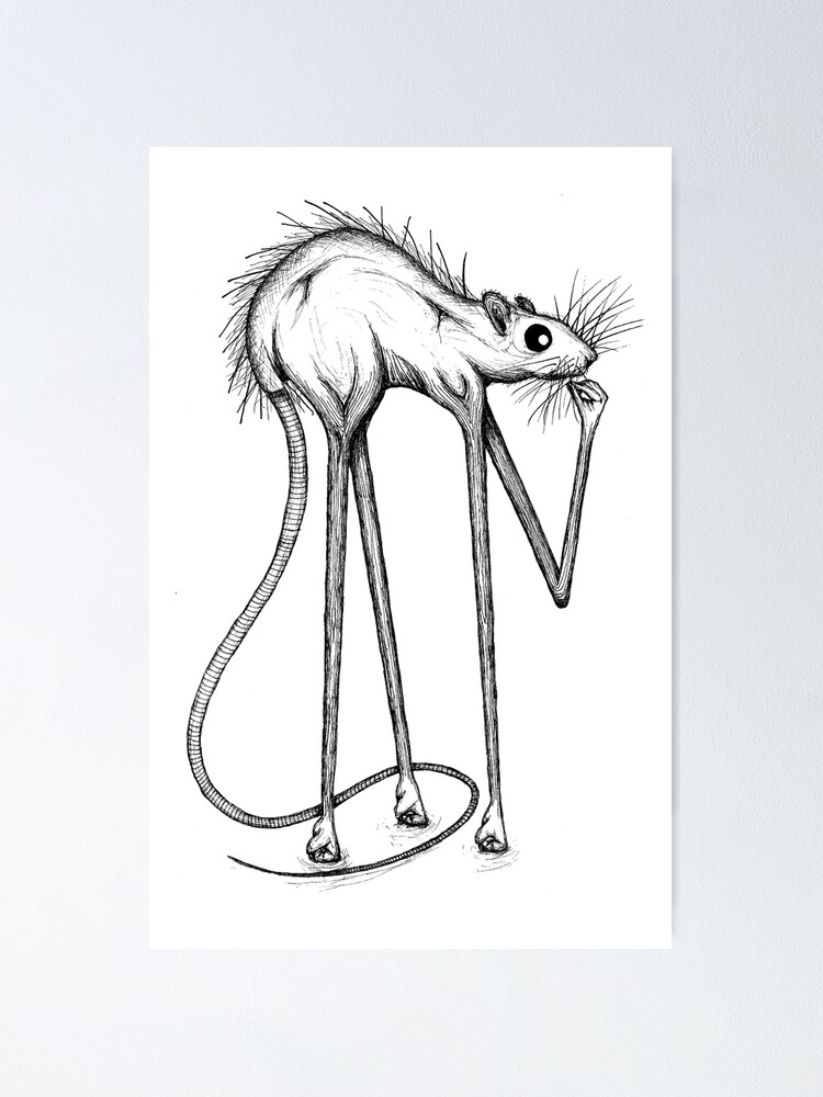 "Funky Rat" Poster by Ideabenw | Redbubble