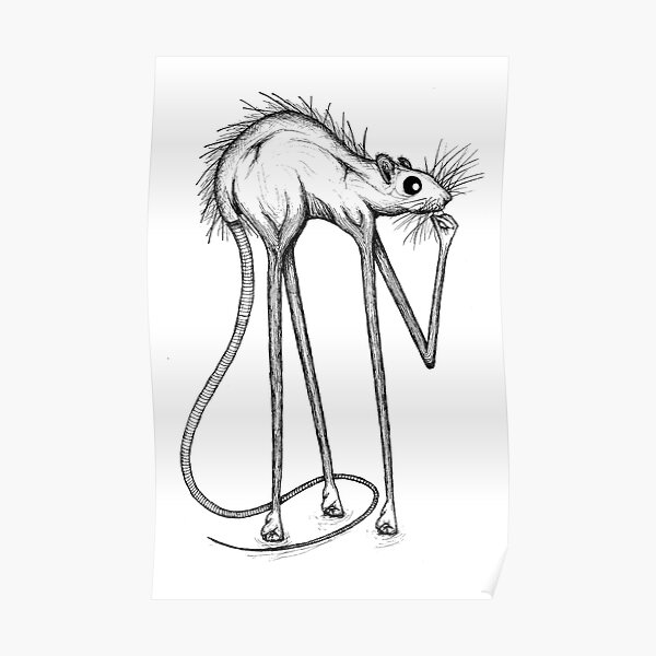 "Funky Rat" Poster by Ideabenw | Redbubble
