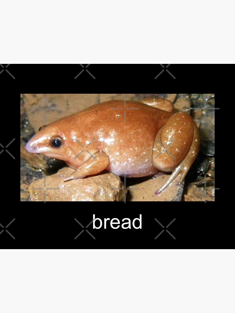 "Bread frog meme" Art Board Print for Sale by blurryspirits | Redbubble