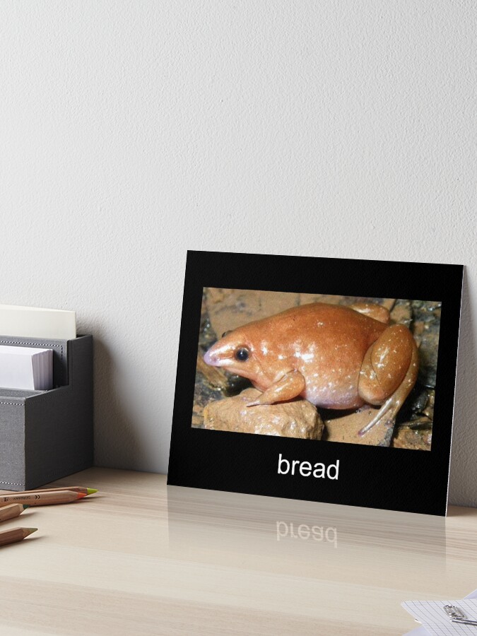"Bread frog meme" Art Board Print for Sale by blurryspirits | Redbubble
