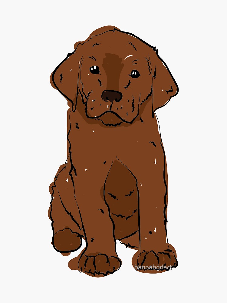 "Chocolate lab" Sticker by hannahgdart | Redbubble