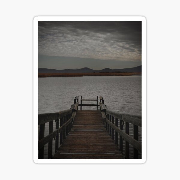 "Oregon Cat Walk" Sticker for Sale by Travisphelpz | Redbubble