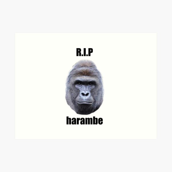 "RIP Harambe" Art Print by IEatPencils | Redbubble
