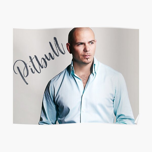 Pitbull Singer Posters | Redbubble