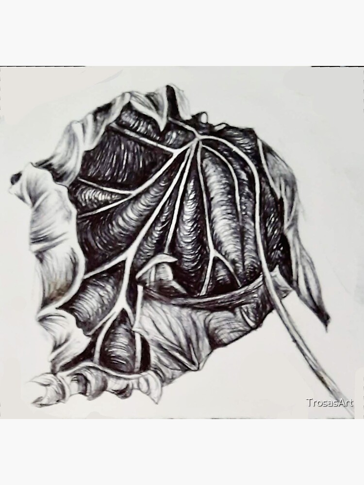 "Leaf biro drawing" Sticker for Sale by TrosasArt | Redbubble