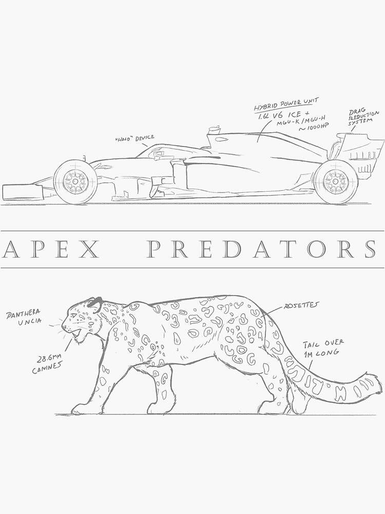 "Apex Predator" Sticker for Sale by leggy2fast | Redbubble