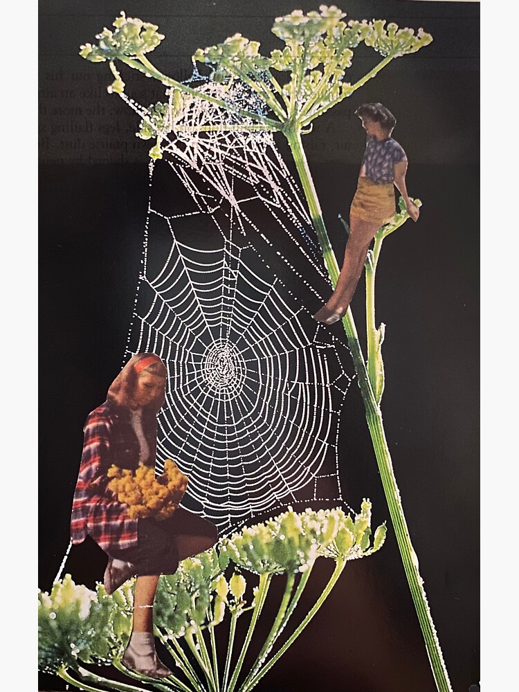 "Caught in your web " Sticker by MrsBeanArt | Redbubble