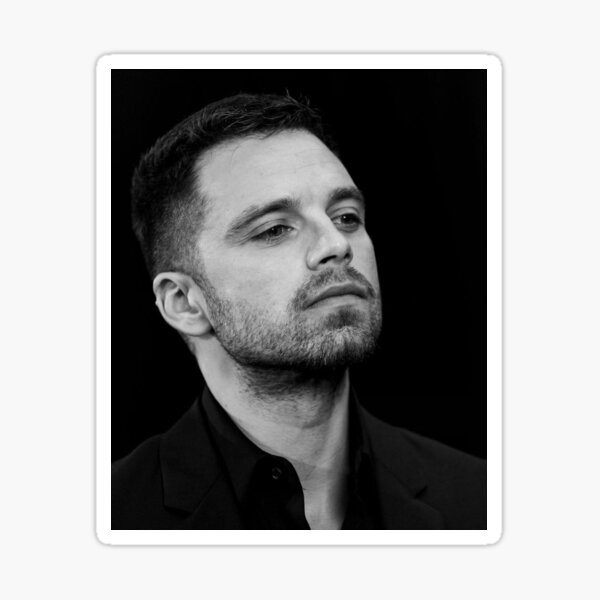 "Sebastian Stan" Sticker by nerdy-merch | Redbubble