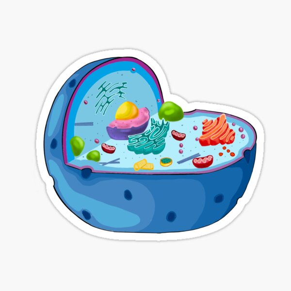 "Animal cell Science Sticker" Sticker by CraftyCreating | Redbubble