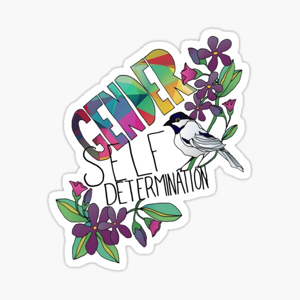 "Gender Self Determination" Sticker for Sale by fabfeminist | Redbubble