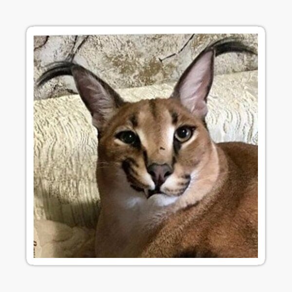 "Floppa High quality" Sticker for Sale by seller23 | Redbubble