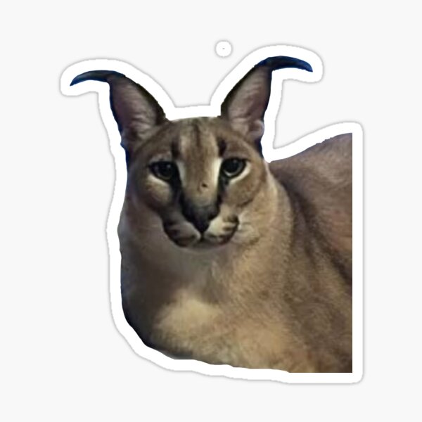 "Floppa High Quality" Sticker by seller23 | Redbubble