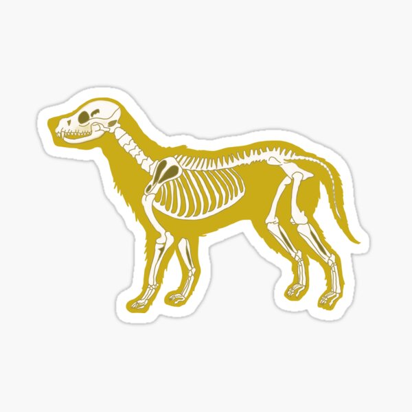 "Golden Retriever with skeleton " Sticker for Sale by TyDey98 | Redbubble