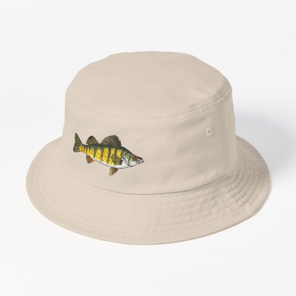 "Yellow Perch" Sticker for Sale by fishfolkart | Redbubble