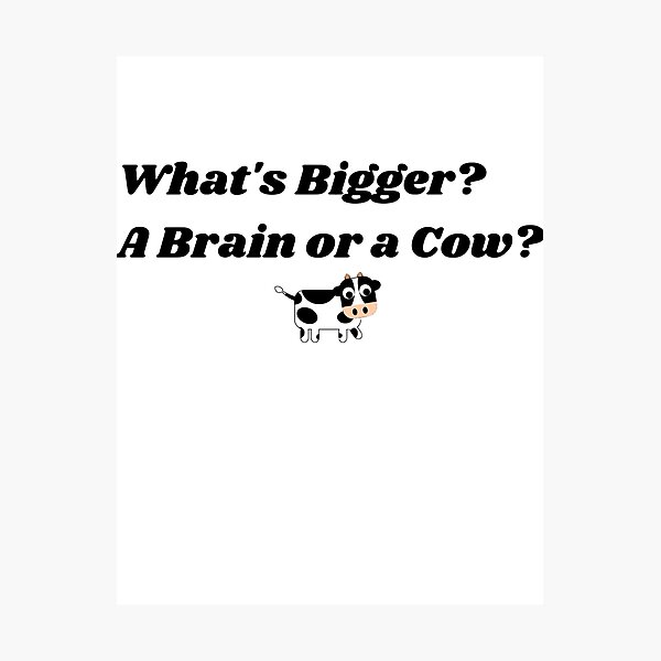 What s Bigger A Brain Or A Cow Photographic Print For Sale By what-s-bigger-a-brain-or-a-cow-photographic-print-for-sale-by