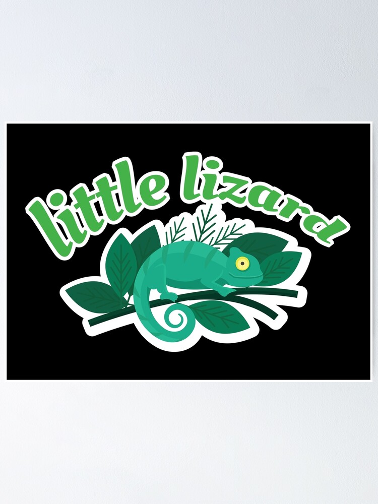 "little lizard patterns" Poster for Sale by Noursafi | Redbubble