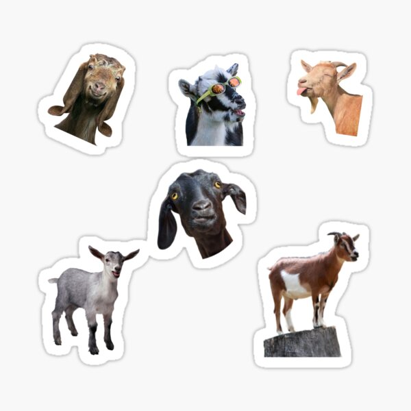 "Happy Funny Goats" Sticker for Sale by Wally99 | Redbubble