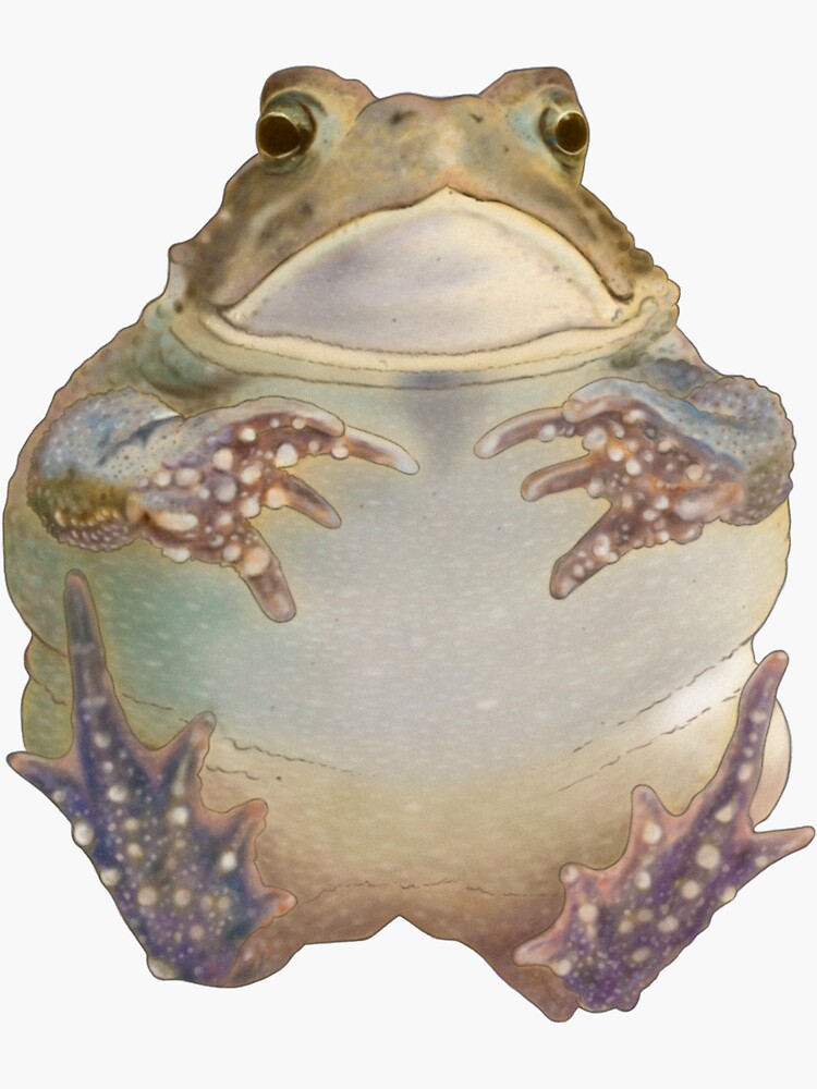 "Flying Toad" Sticker for Sale by ferransirvent | Redbubble